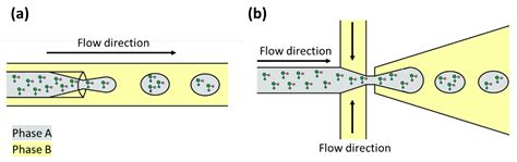 Life Free Full Text Prebiotic Chemistry Experiments Using Microfluidic Devices