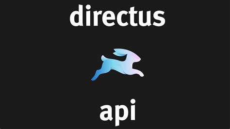 Using The Directus Api Youtube