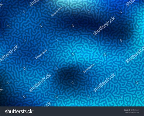 Reactiondiffusion Turing Pattern Formation Generative Algorithm Stock Vector Royalty Free