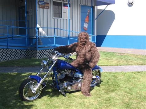 Pin Oleh Linda Di SASQUATCH IMAGES