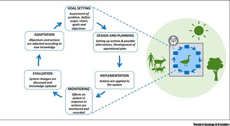 Understanding And Overcoming Obstacles In Adaptive Management Trends In Ecology And Evolution