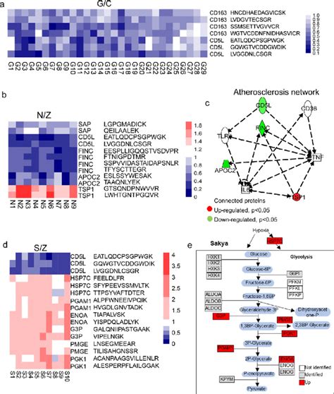 Prm Validation On The Effect Of Meditation On Cardiovascular Download Scientific Diagram