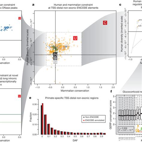 Pdf The Encode Project Consortium An Integrated Encyclopedia Of Dna Elements In The Human