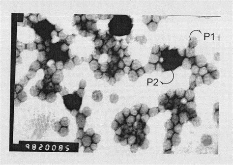 Preparation Method And Application Of Acrylate Hybrid Emulsion Eureka