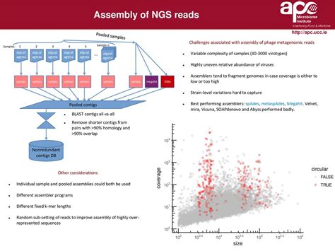 Metagenomic Analysis Of Bacteriophage Populations In The Human Gut Ppt Download
