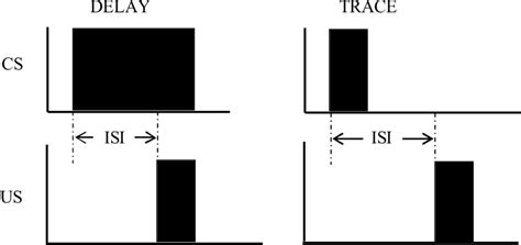 Delay Versus Trace Conditioning Isi Refers To The Interval Between Download Scientific