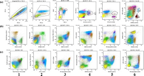 Analysis Of Normal Bone Marrow Samples By The 24 Color Full Spectrum