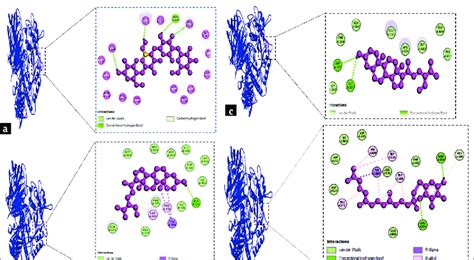 Molecular Interaction Between The Three Selected Hits The Standard At Download Scientific