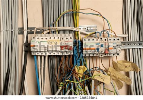 Large Group Utp Cables Ethernet Cables Stock Photo Shutterstock