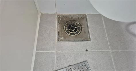 급하게 요청드렸는데도 날짜랑 시간 맞춰서 진행해주셨어요 현장에 상주하고 있을 수가 없었는데 부탁드린 부분과 전체적으로 꼼꼼하게 청소해주시고 실시간 사진도 공유해주셔서