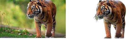 Python How To Remove Background Of An Image Using Python