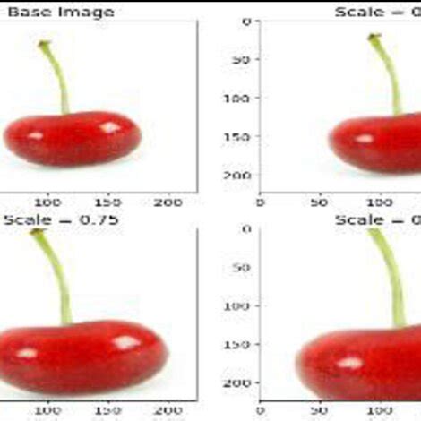 A Filter And Working Of Convolution Layer Download Scientific Diagram