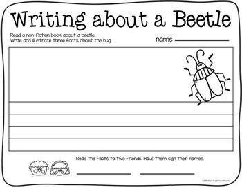 Writing About Bugs By First Grade Babehouse TPT