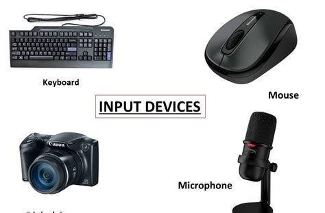 Mengenal Apa Itu Input Device Pengertian Fungsi Dan Contohnya Kadjiro