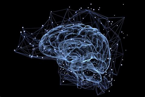 Neural Data Science Medium