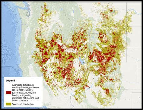 Saving The Sagebrush Sea Defenders Of Wildlife