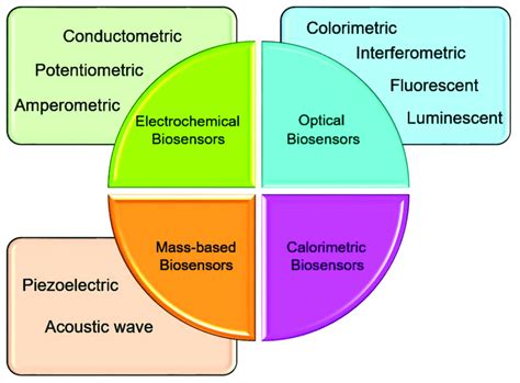 Four Different Classes And Sub Classes Of Biosensors Based On The Type
