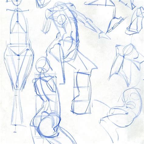 Simple Torsos From The Back And Front A Repost By Request Human