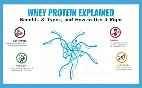 Whey Protein Guide Benefits Types And How To Use It