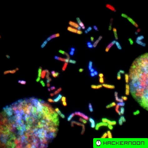 How To Achieve Immutable Dtos With C Hackernoon