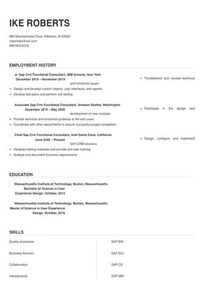 Sap Crm Functional Consultant Resume Sample Tips Online Resume Builder