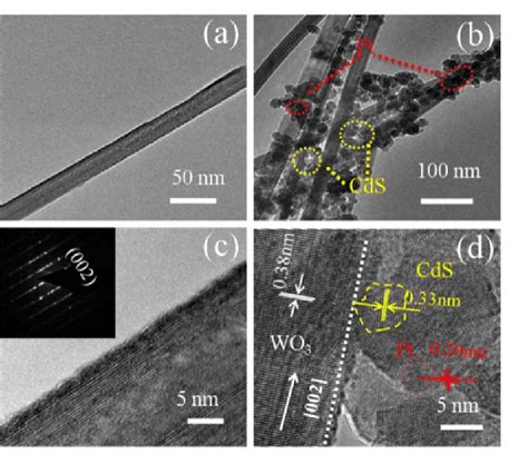 A A Low Magnification Tem Image Of A Typical Wo3 Nanowire B Pt Download Scientific Diagram