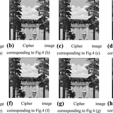 Corresponding Decrypted Images Download Scientific Diagram