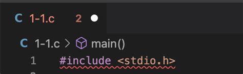Homebrew Vcpkg 설치 Vscode Include 오류
