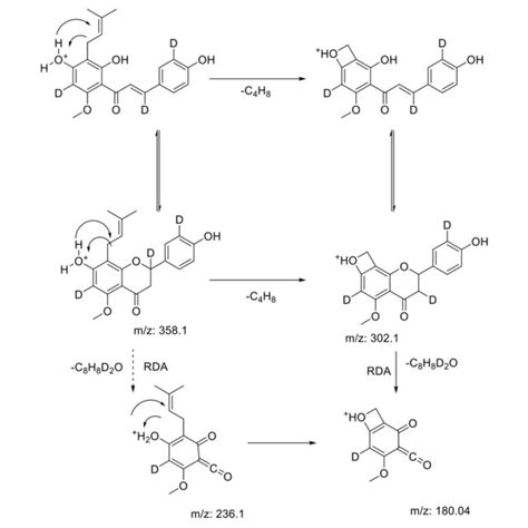 Fragmentation Patterns Of The Prenylated Flavonoids In Hops Adapted
