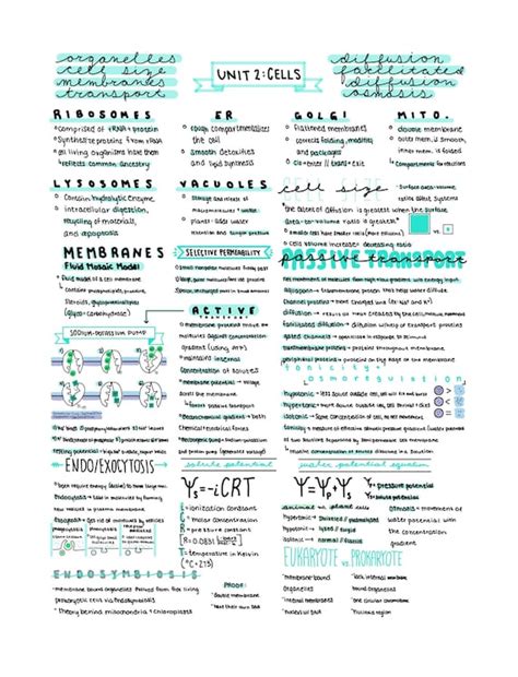 Ap Biology Flashcards Unit 2 At Clinton Richardson Blog