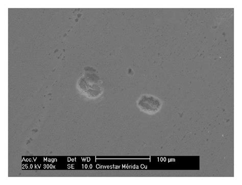 Sem Micrographs Of Copper Surface After 120 Hours Of Immersion At Room