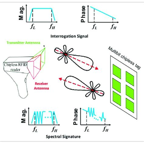 Operation Principles Of The Chipless Radio Frequency Identification