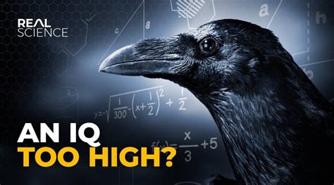 Crow Intelligence A Philosophical And Ethical Inquiry