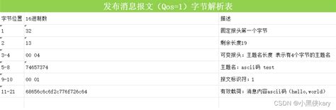 mqtt协议图解，一文看懂mqtt协议数据包（真实报文数据解析解释） csdn博客