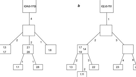 Step By Step Accumulation Of Somatic Mutations Diversification On
