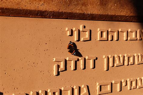 Gallery Of Earth Memorial Gitai Architects 13