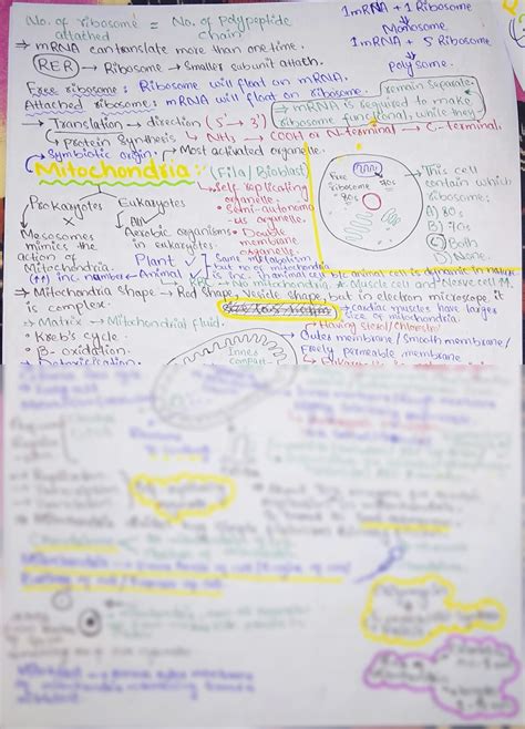 SOLUTION Biology Cell Structure And Function Class Mdcat Detailed Notes According To Pmc
