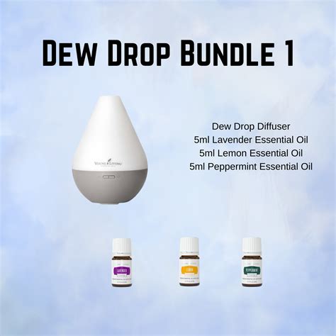 Dew Drop Diffuser Bundle 1 Yormarket Shop And Buy Online Namibia