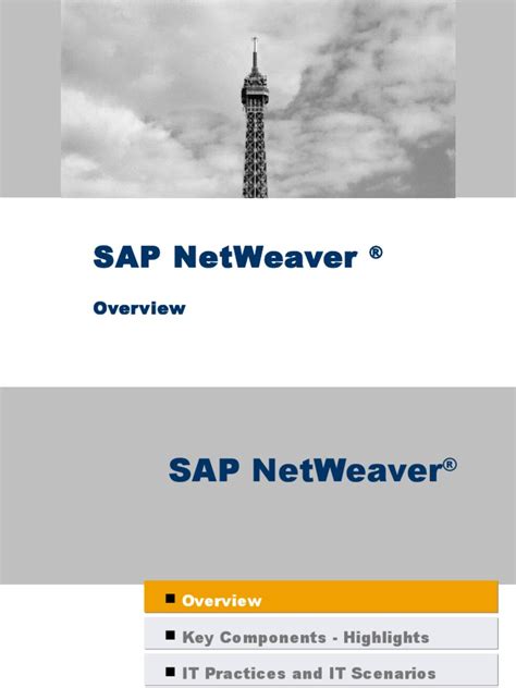Pdf Sap Netweaver Overview Dokumentips