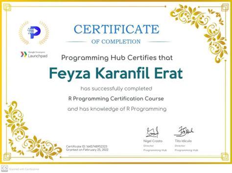 feyza karanfİl erat linkedin‘de programminghub certificate