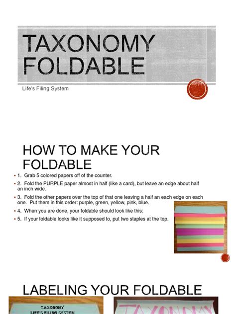 Taxonomy Foldable Pdf Taxonomy Biology Cell Biology