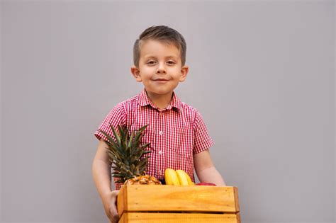 과일 파인애플 바나나와 사과와 나무 상자를 들고 행복한 소년 파인애플에 대한 스톡 사진 및 기타 이미지 파인애플 4 5세 건강한 생활방식 Istock