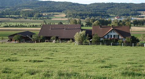 Artischocken › Im Eichacher