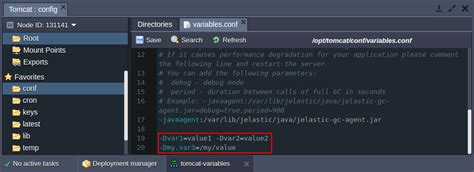 Environment Variables Tomcat Jetty Variablesconf