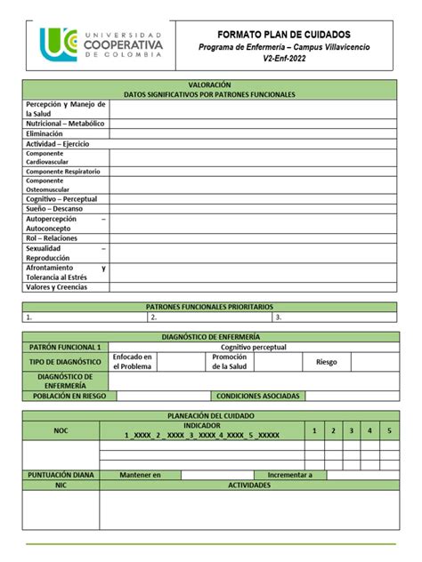 Formato Plan De Cuidados V2 2022 2 Pdf Cuidado De La Salud