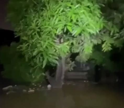 Pader Gumuho Sa Cainta15 Nasagip Police Files Tonite