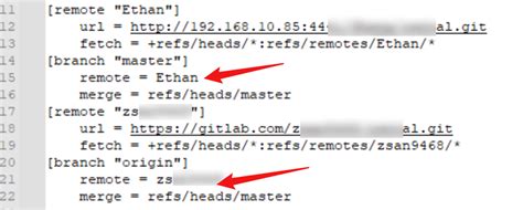 Git给不同的分支配置不同的remote远程仓库地址 设计笔记