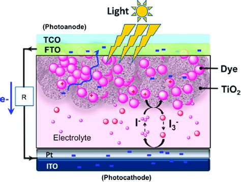 Schematic Representation Of An Operative Tio 2 Dssc Using The I 3 − I Download Scientific