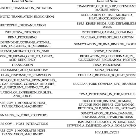 Enrichment Using The Reactome Collection From The Msigdb Top 20