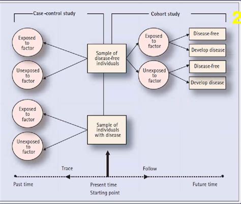 Hierarchy Of Evidence Ebp 02 Flashcards Quizlet